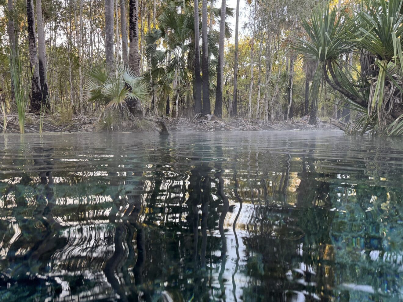 Bitter Springs, Northern Territory 🇦🇺 2025 – Michael and Pam's Travels